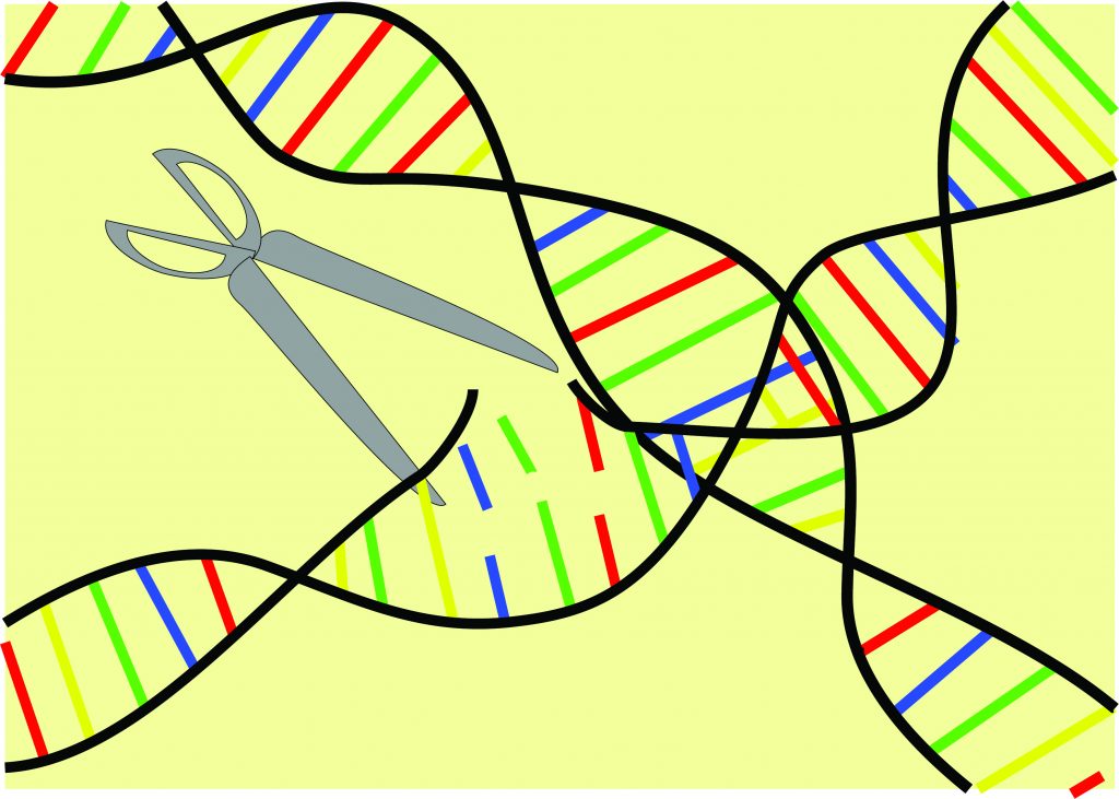 Visuals that never made it feature: Ramiro Bustamante Torres - The Gauntlet