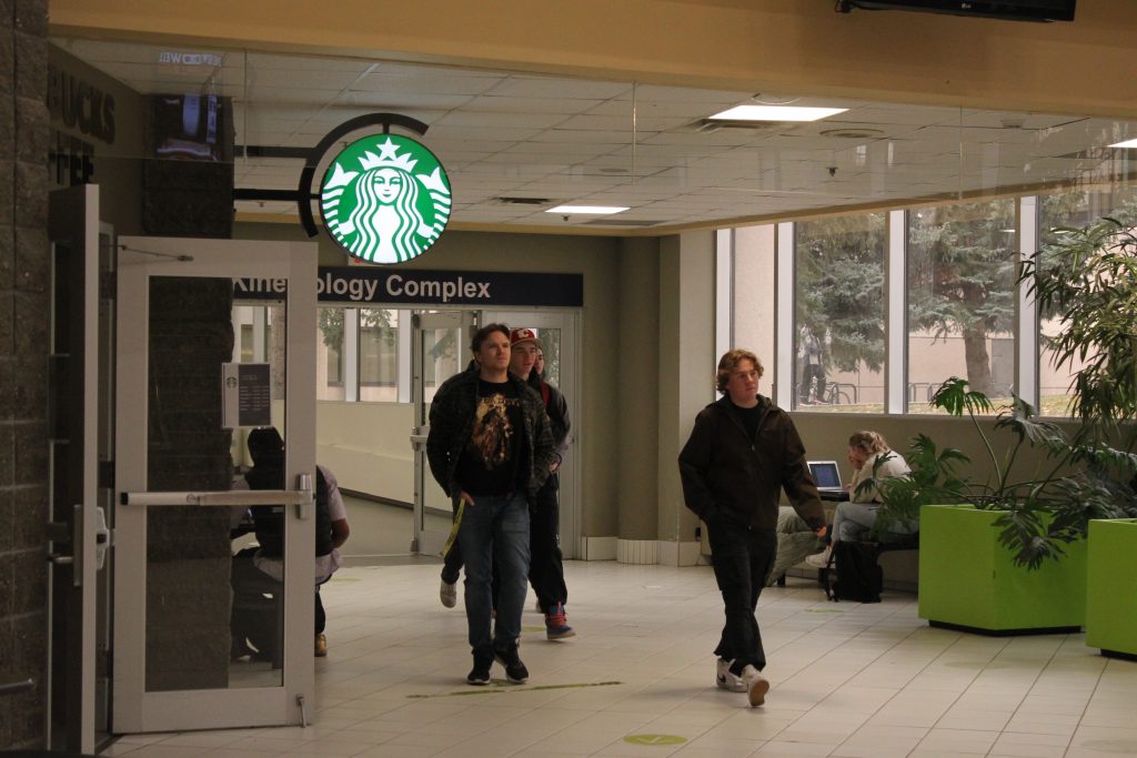 What your favourite food vendor in Mac Hall says about you - The Gauntlet