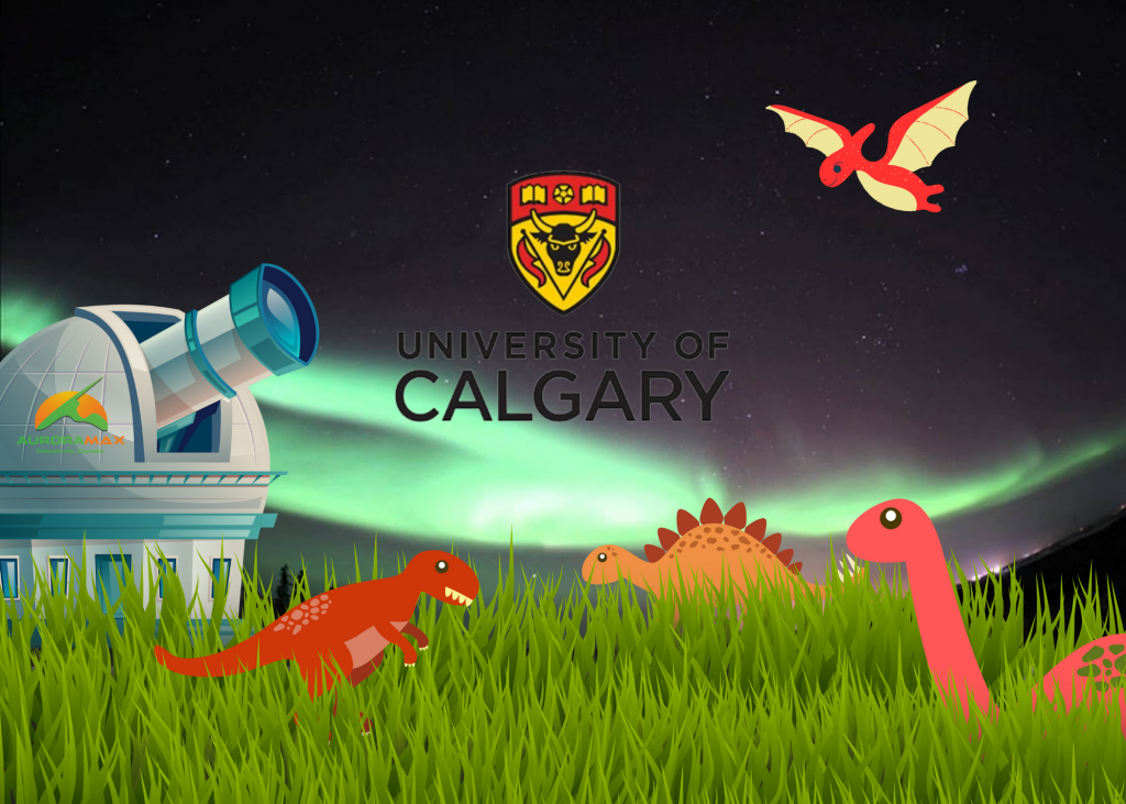 Chase the northern lights from the comfort of your home with AuroraMax ...