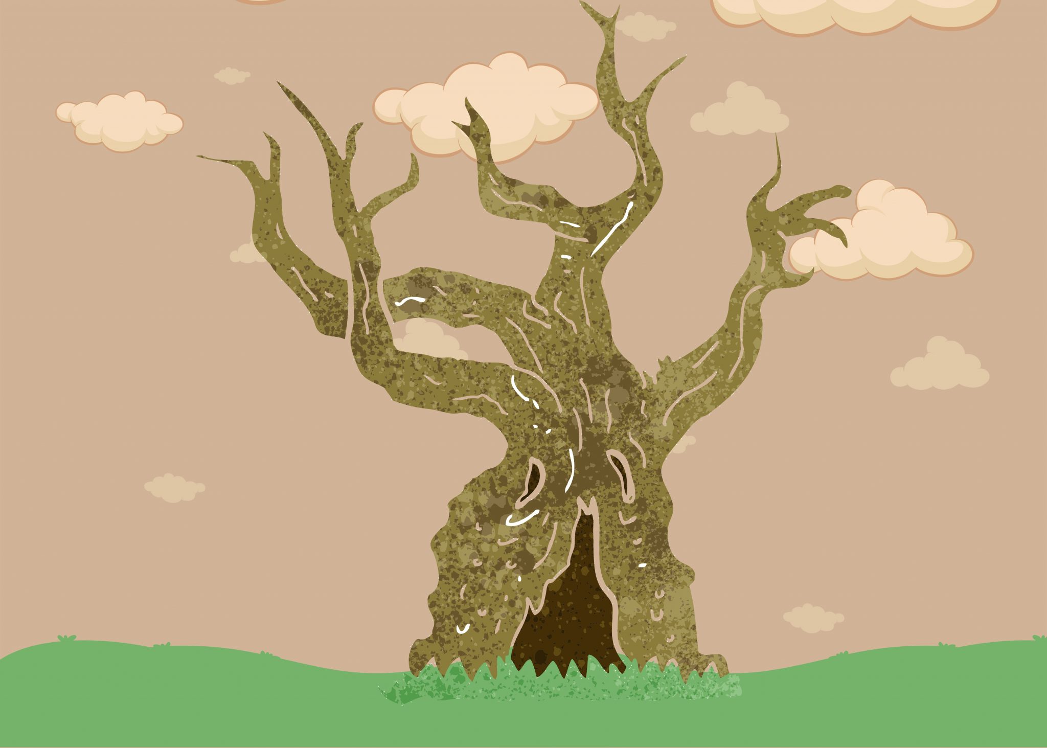 Ancient tree from before dinosaurs discovered in New Brunswick - The ...