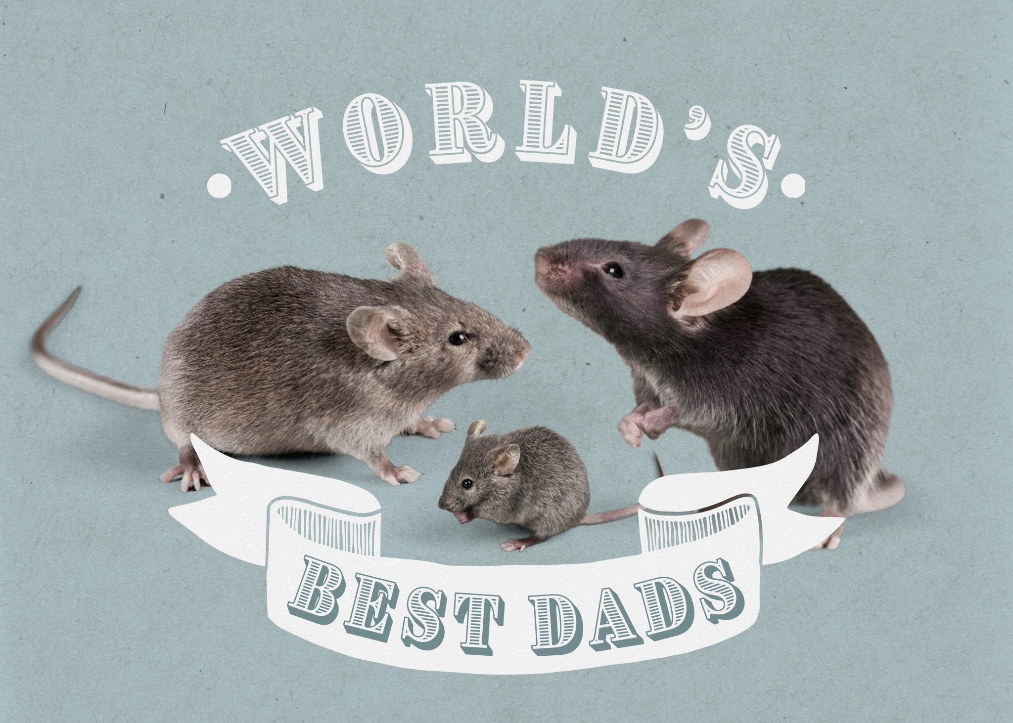 Scientists create mice offspring with two fathers from male DNA - The ...