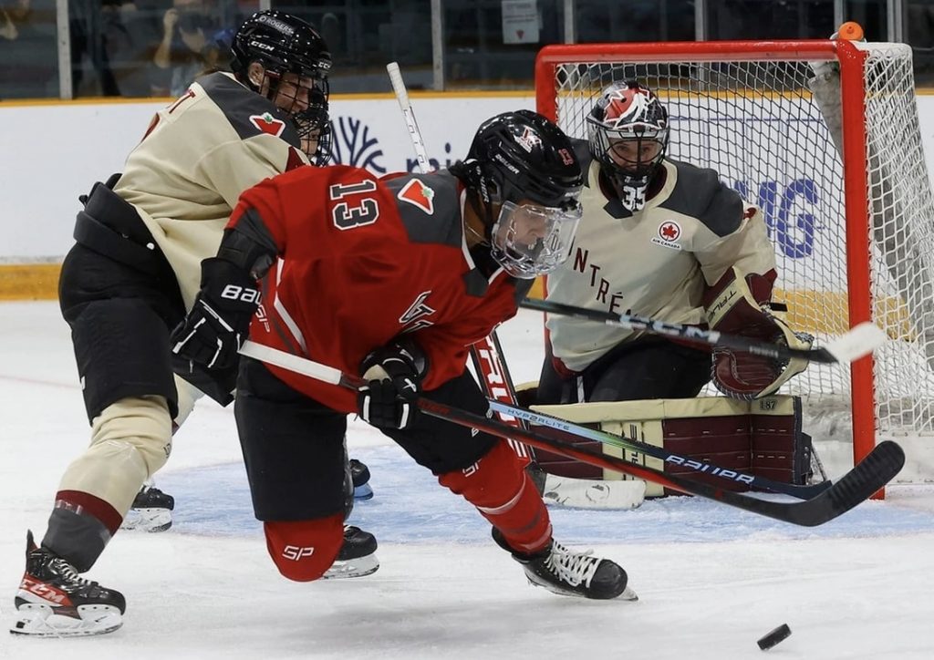 Ranking and reviewing the new PWHL team names and logos - The Gauntlet