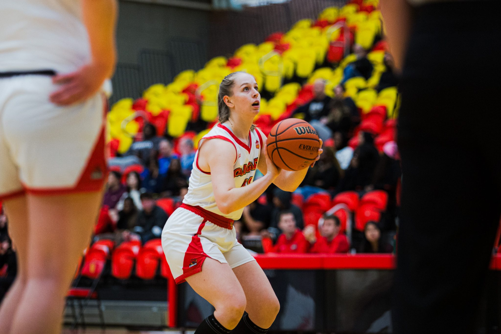 Teaching, tempo, and trust: Sarah Besselink’s blueprint for the Dinos ...