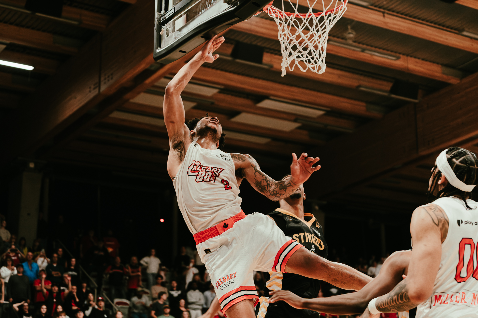Surge surge past Stingers in CEBL Western Playoff clash - The Gauntlet