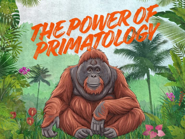 The power of primatology at U of C - The Gauntlet